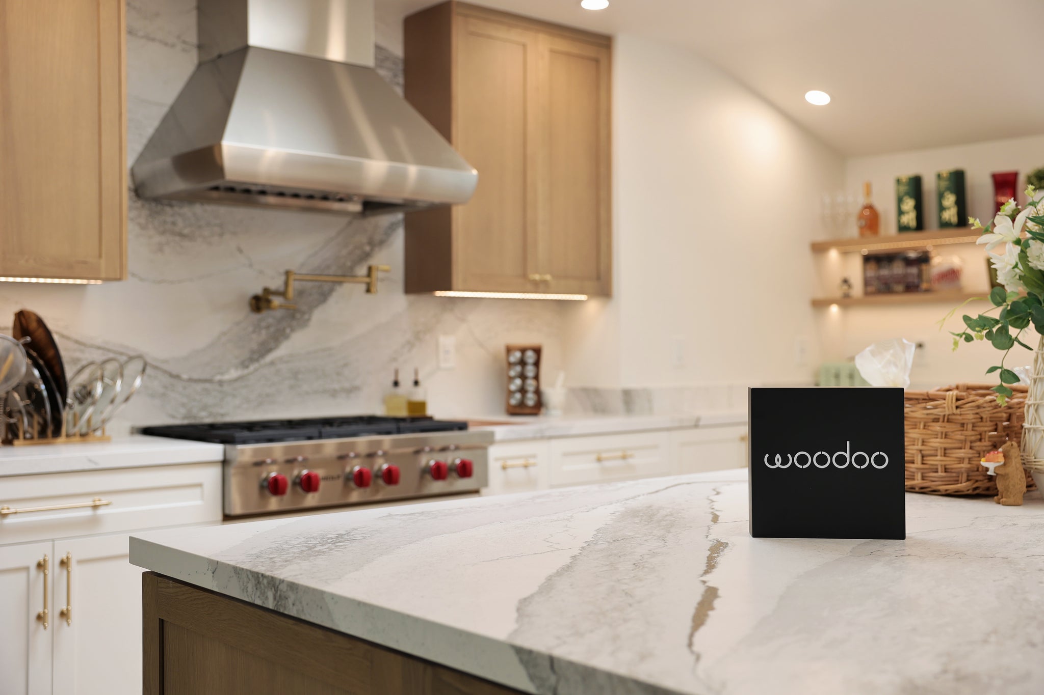 Woodoo RTA Cabinets in San Jose Cabinets | Modé Concept